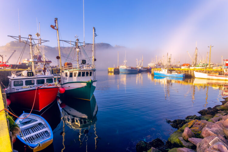 Landmark decision to reopen the Grand Banks commercial cod fishery ...